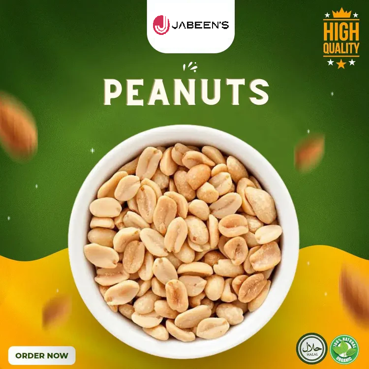 Shop Roasted And Salted Peanuts 500Gm Pack Online In Pakistan - JabeensShop